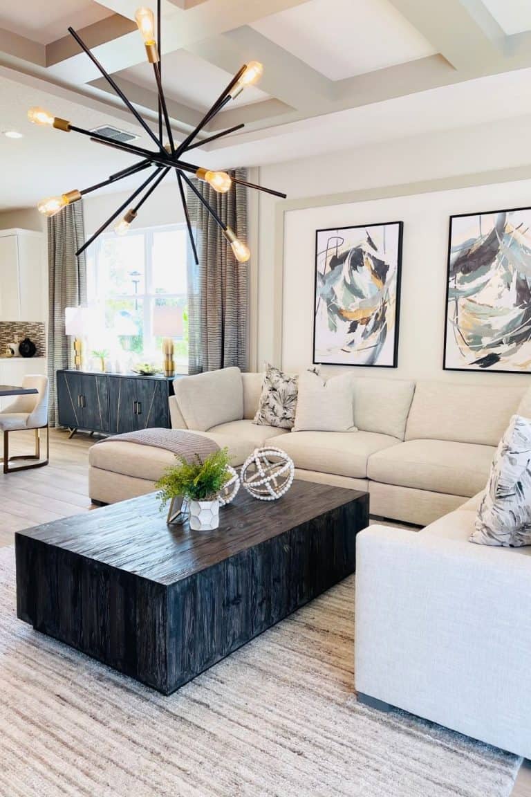 Florida Style Living Room Ideas