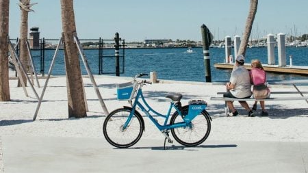 Navigating Alligator Alley: Tips and Tricks for a Memorable Journey