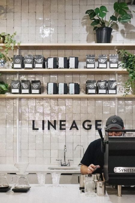 30 Best Coffee Shops in Orlando, Florida
