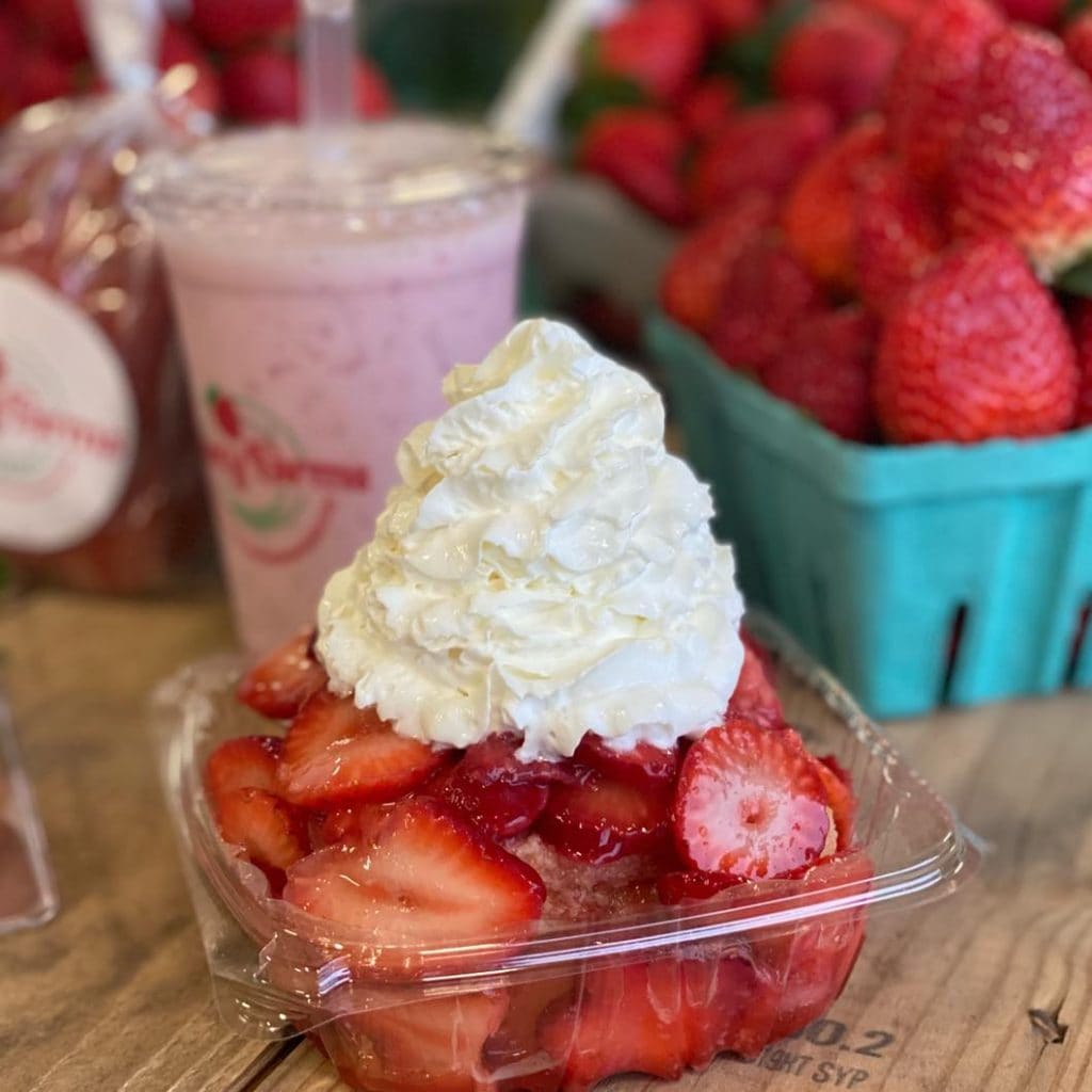 15 Best Strawberry Farms in Florida That You Need to Visit