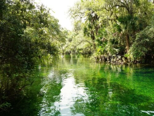 Navigating Alligator Alley: Tips and Tricks for a Memorable Journey