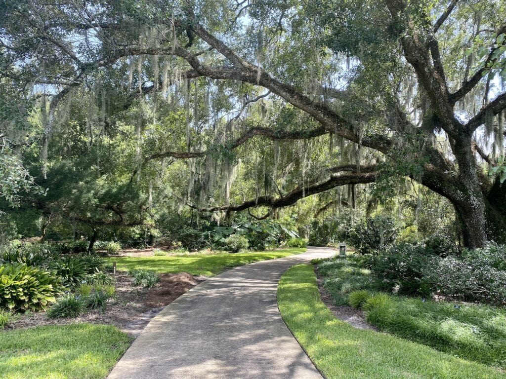 87 Epic Things to do in Orlando – A Local's Guide (2026 Edition)