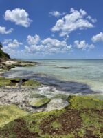 21 Fun Things to do in Siesta Key, Florida You'll Love (2026)