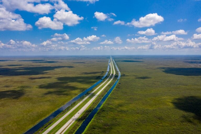 Navigating Alligator Alley: Tips and Tricks for a Memorable Journey