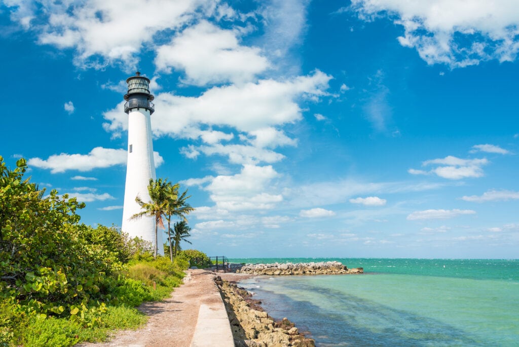 Navigating Alligator Alley: Tips and Tricks for a Memorable Journey