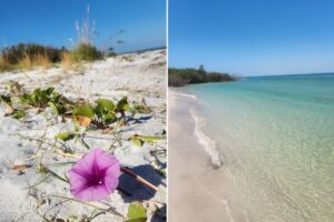 9 Most Beautiful Barrier Islands in Florida