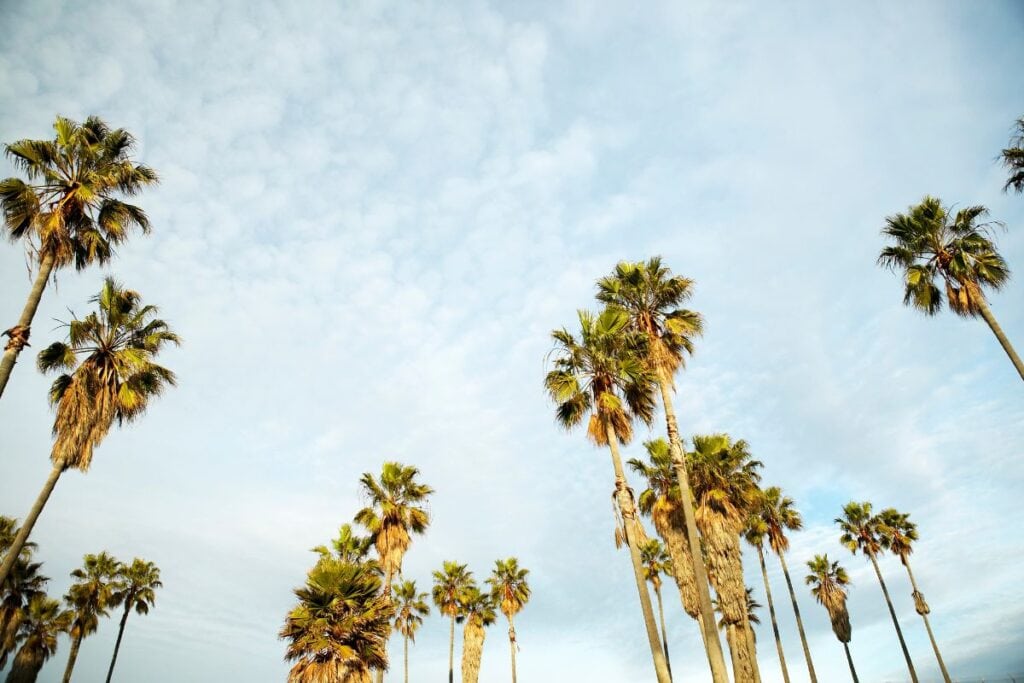 25 Things Florida is Known and Famous For