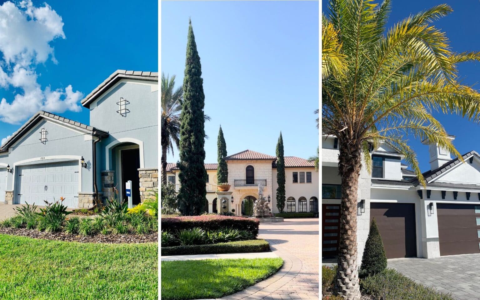 Low Maintenance Plants for Florida: Easy-Care Choices