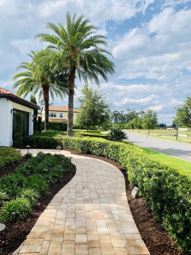 20 Best Landscaping Ideas for a Large Front Yard (2025)