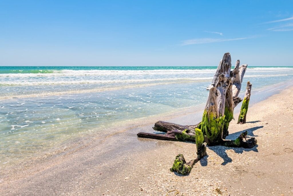 20 Quiet Florida Beaches: Unwind at the State's Best Kept Secrets