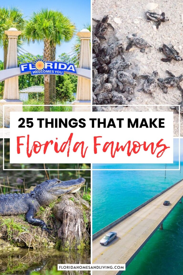 25 Things Florida is Known and Famous For
