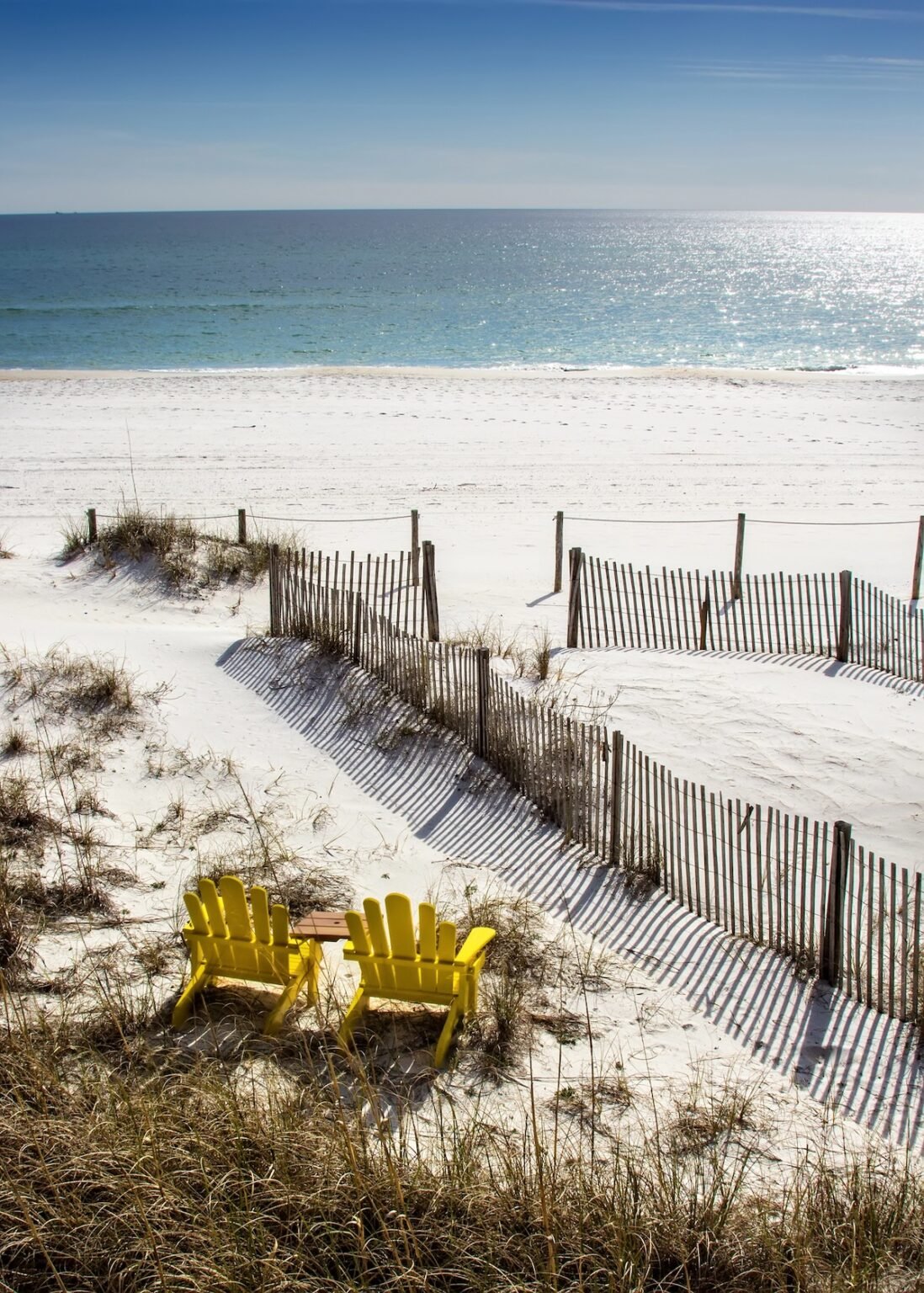 10 Best Shelling Beaches in Florida: The Ultimate Guide (2025)