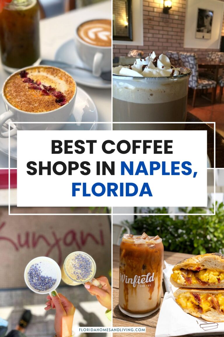 8 Best Coffee Shops in Naples, Florida (2026)